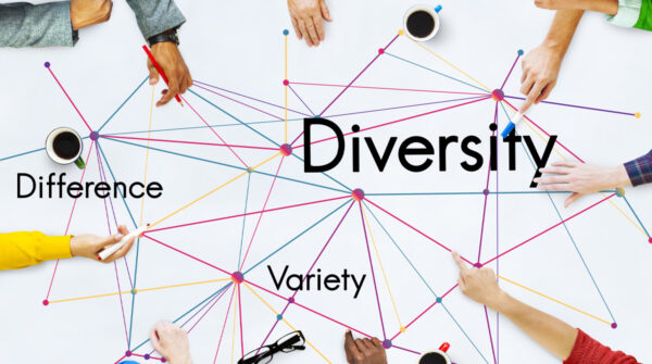 Multicultural Work Environment – Verdalia Trading